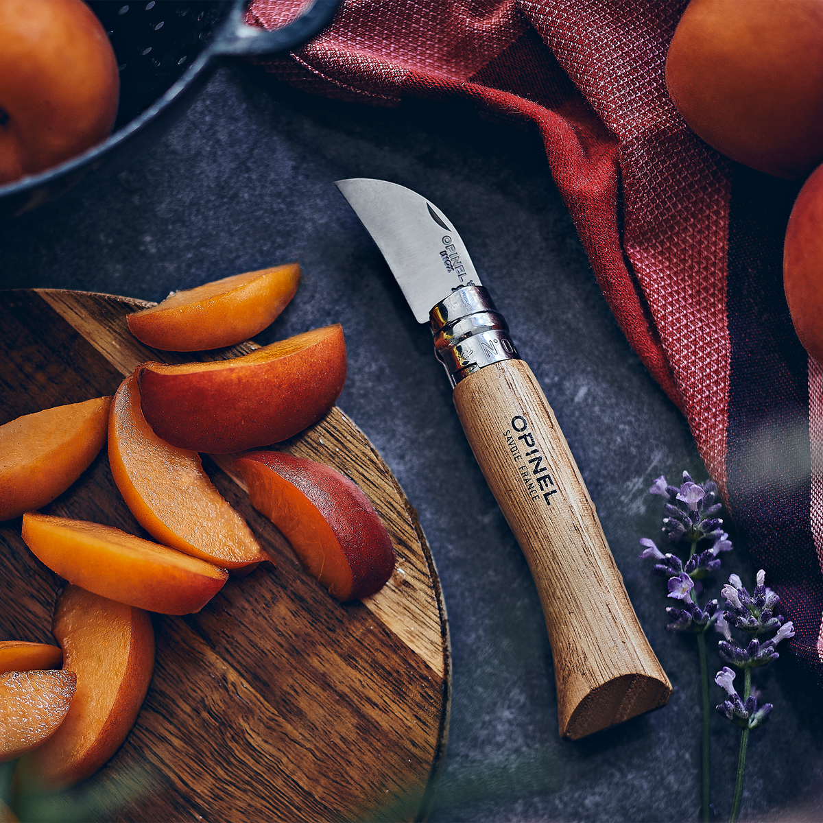 Opinel | No.07 Folding Chestnut and Garlic Knife - OPINEL USA